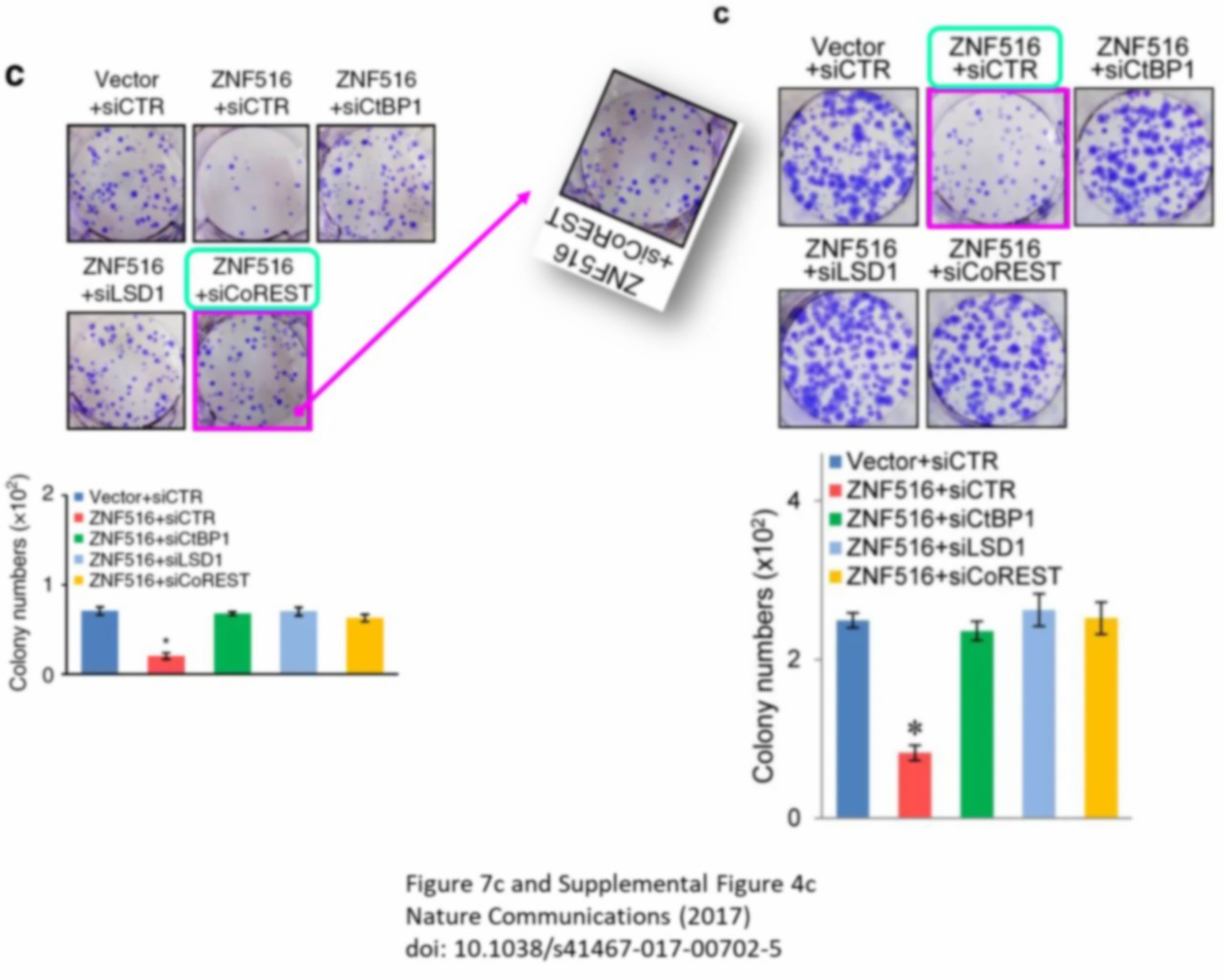 基金委需严查！北大院士团队十篇论文遭质疑 - 国家自然科学基金项目申请经验分享互动 - LetPub专业SCI论文编辑
